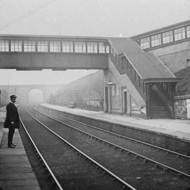 Home | Local Life 247