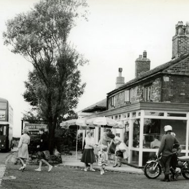 Home | Local Life 247