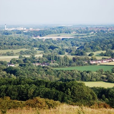 Home | Local Life 247